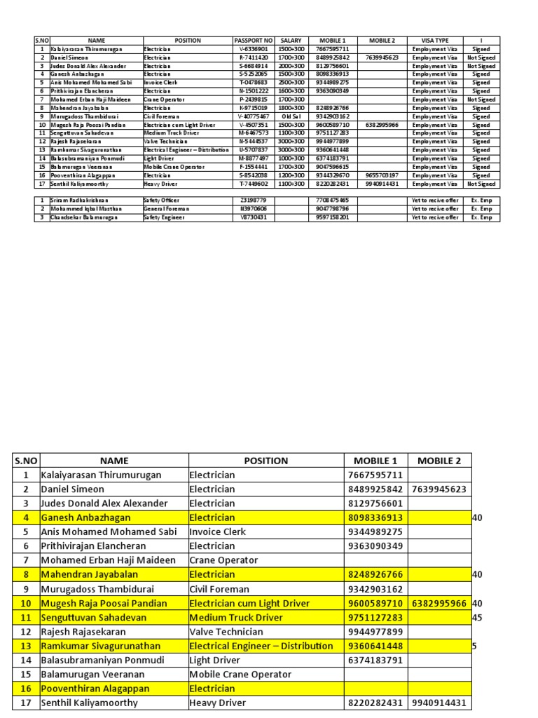 Employment Visa | PDF