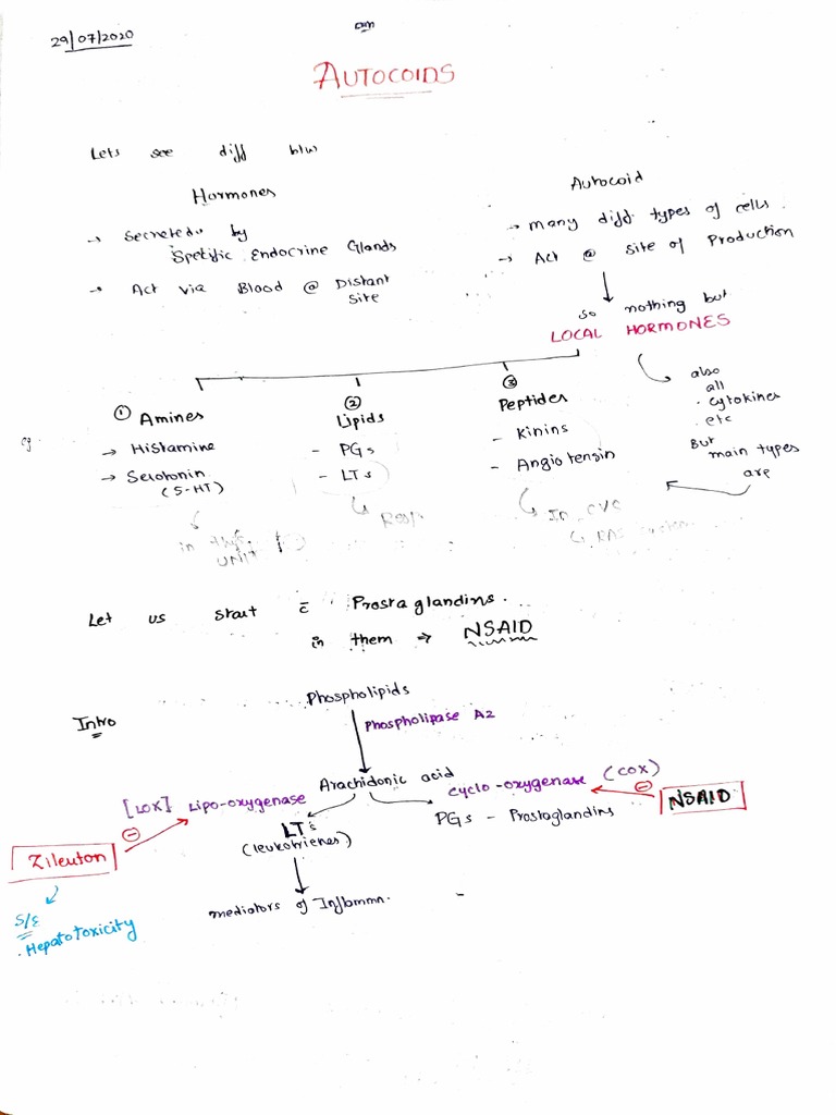 Autocoids 1 | PDF | Pharmacology | Medical Specialties
