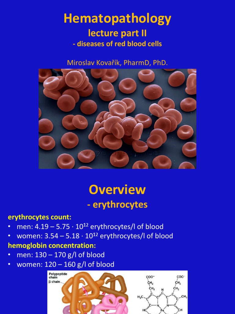 Hematopathology (Lecture II) | PDF | Anemia | Red Blood Cell