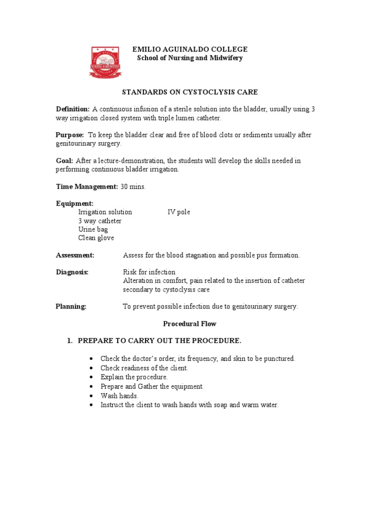 Cystoclysis Care Standards Guide | PDF