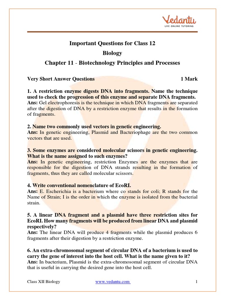 Important Questions For CBSE Class 12 Biology Chapter 11 | PDF ...