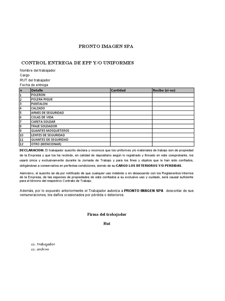 Registro Entrega Epp | PDF