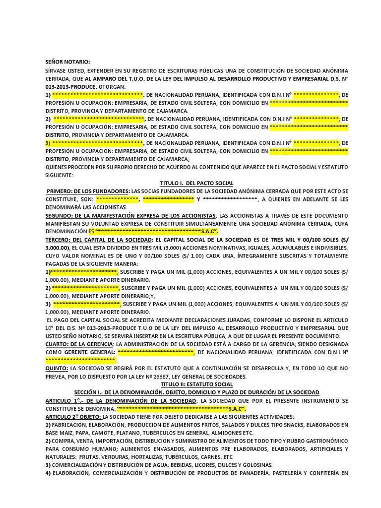Minuta Constitución Sac Modelo Sofía 1 | PDF | Negocios | Finanzas y dinero