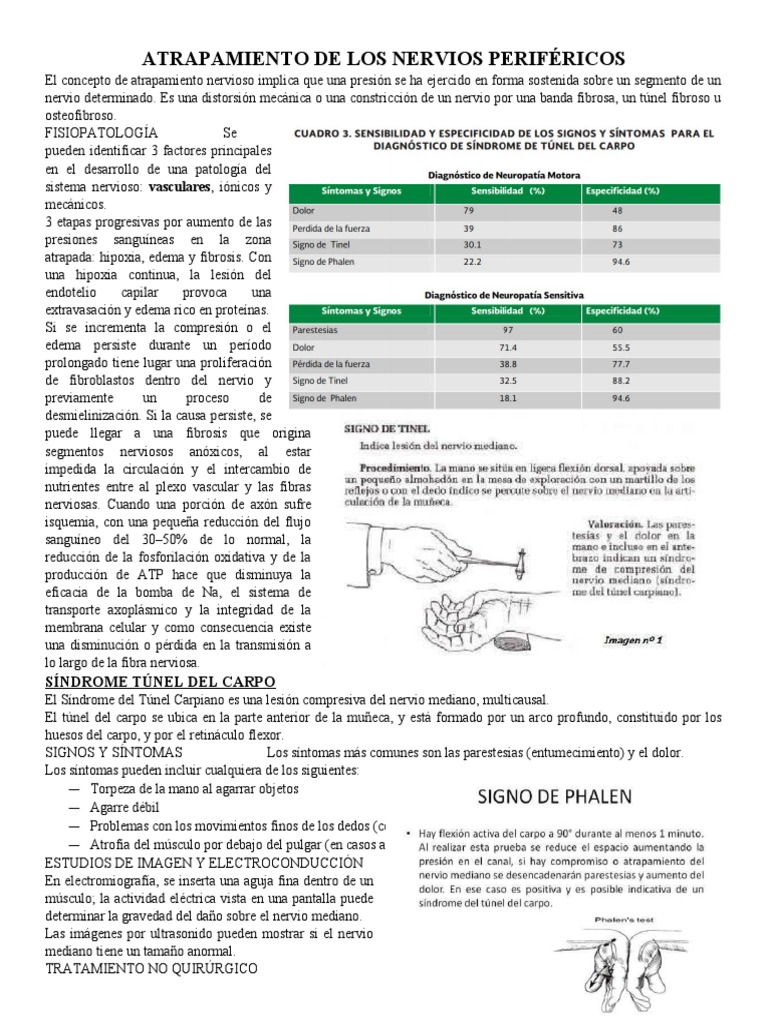 Atrapamiento de Los Nervios Periféricos | PDF | Nervio | Mano