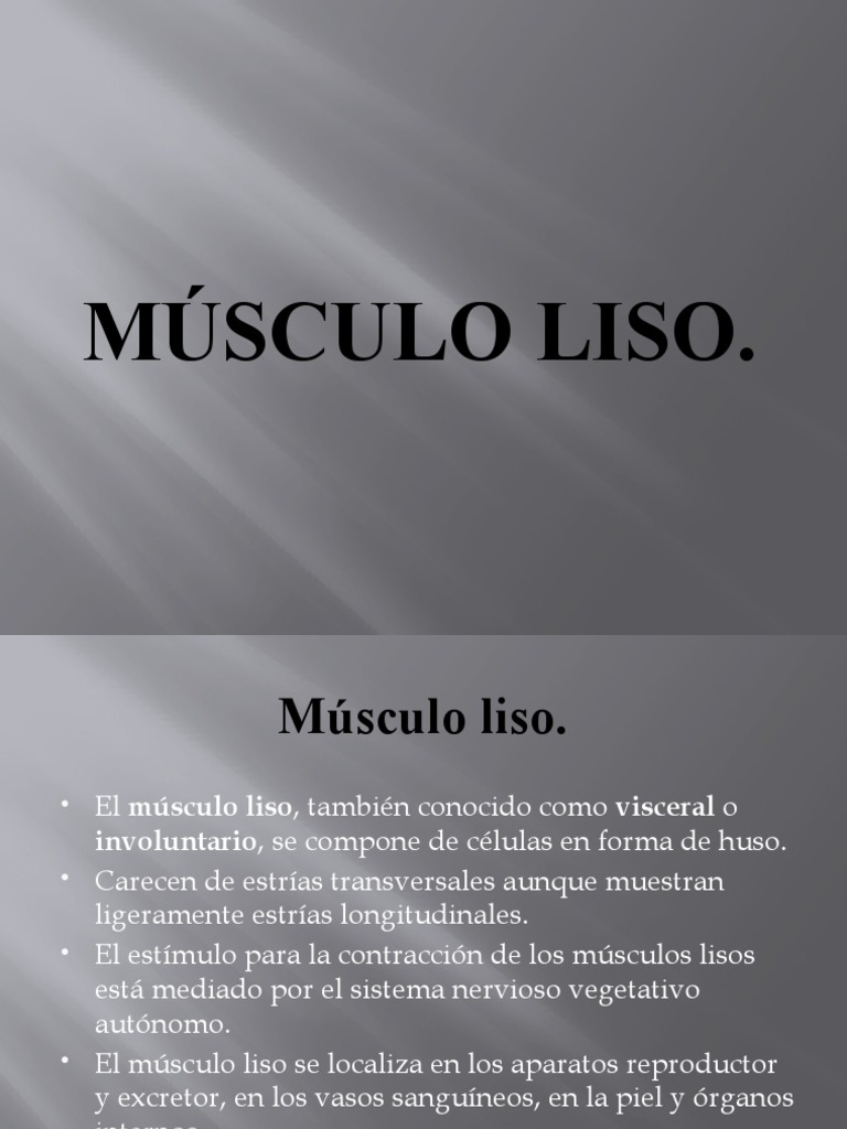 Músculo Liso | PDF | Músculo esquelético | Contracción muscular