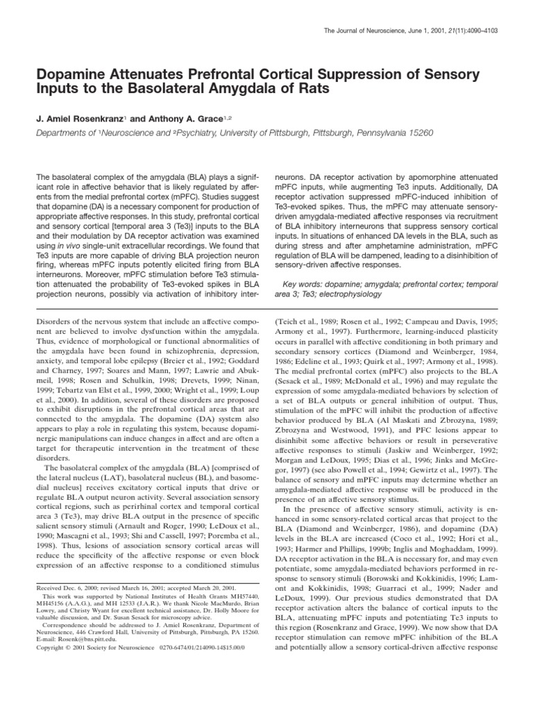 Dopamine Attenuates Prefrontal Cortical Suppression of Sensory Inputs ...