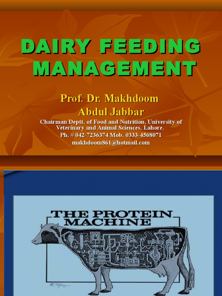 Dairy Feeding Management | PDF | Cottonseed | Maize