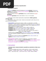 Modurile Si Timpurile Verbelor | PDF