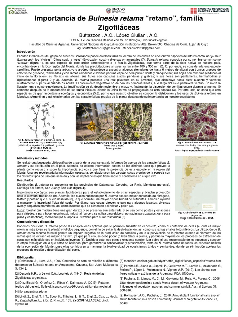 Importancia de Bulnesia retama en Mendoza | PDF | Flores | Plantas