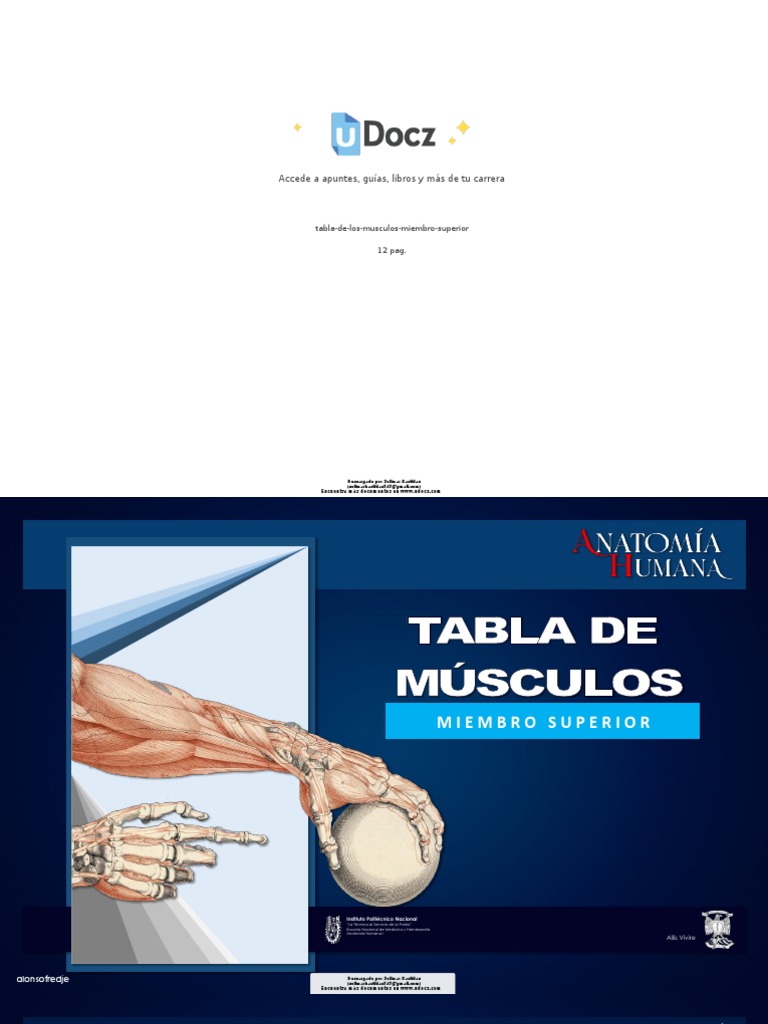 Tabla de Los Musculos Miembro Superior 205154 Downloable 1507716 | PDF | Codo | Mano
