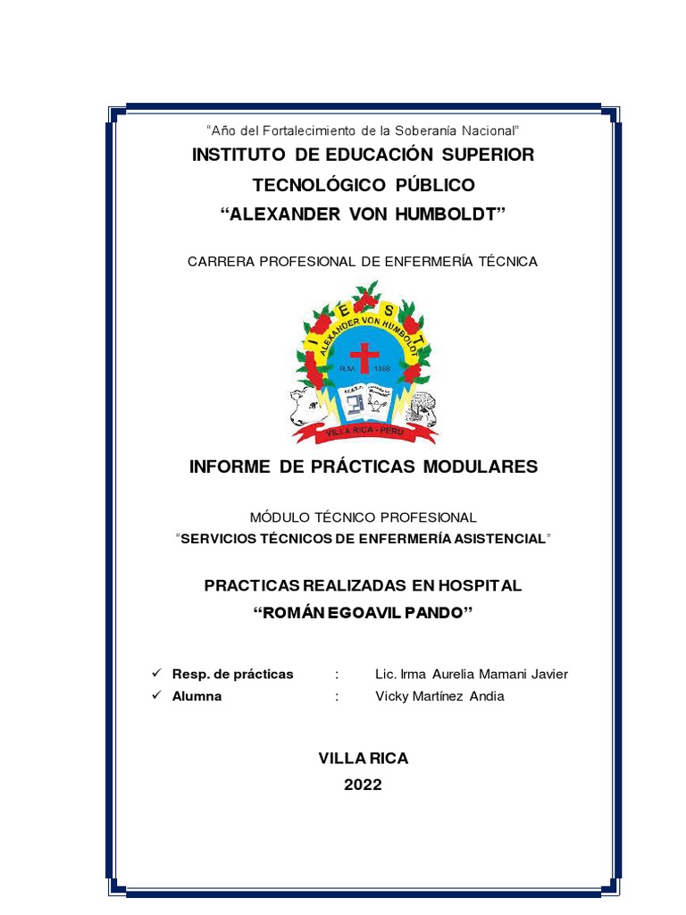 Informe Vicky | PDF