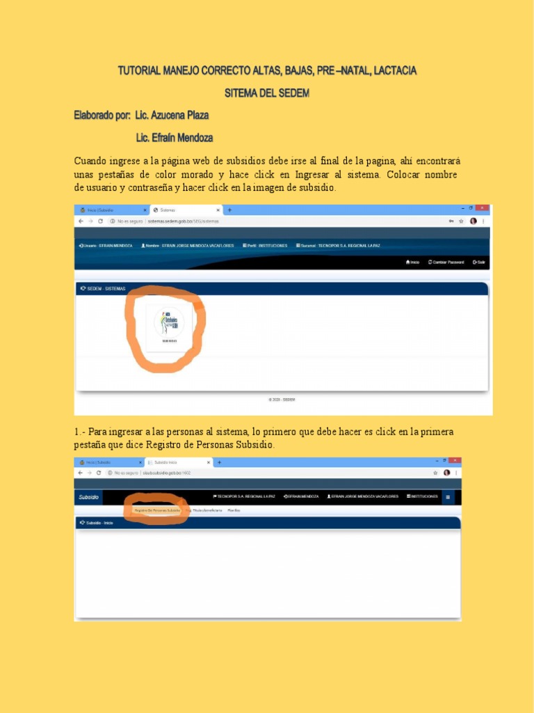 Tutorial para El Uso Del Sistema Del Sedem | PDF