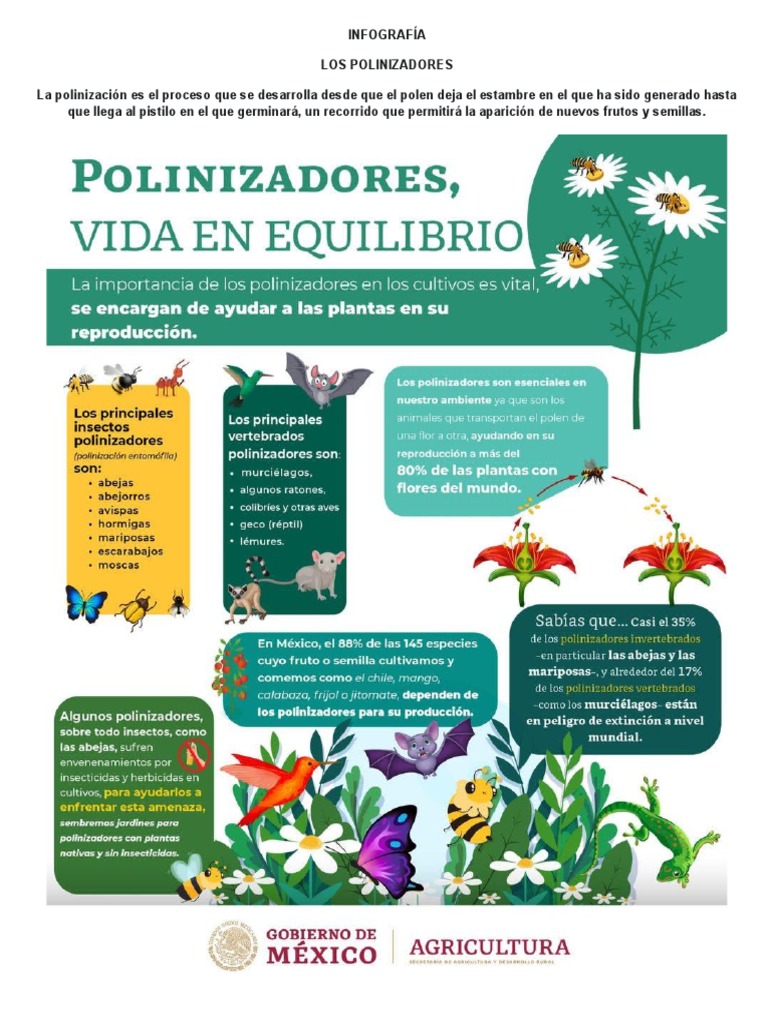 Infografía sobre Polinizadores | PDF