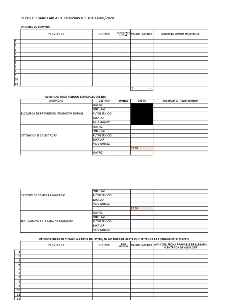 Reporte Diario Compras Formato | PDF