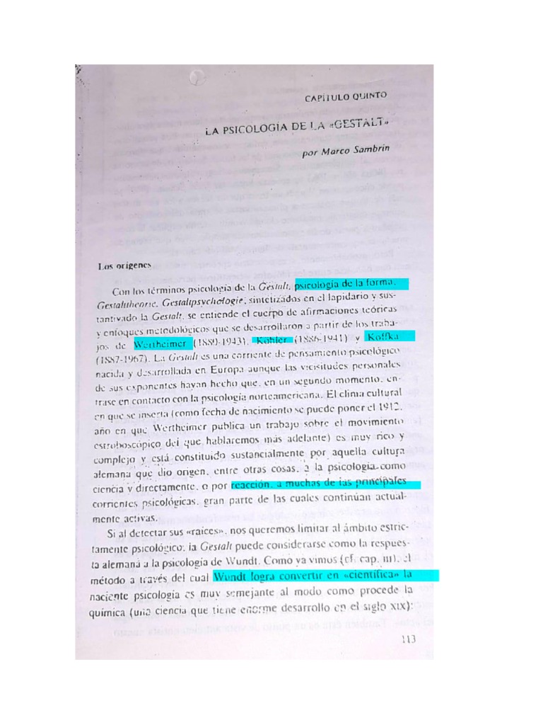 La Psicología de La Gestalt - Marco Sambrin (Capitulo V) | PDF