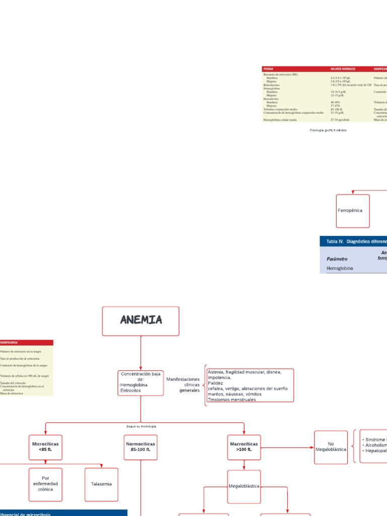 ANEMIAS | PDF | Sangre | Medicina