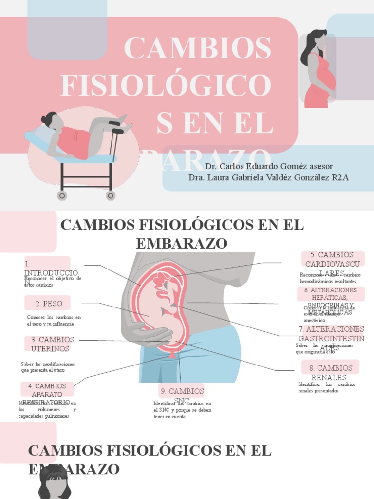 Cambios Fisiológicos en El Embarazo | PDF | El embarazo | Placenta