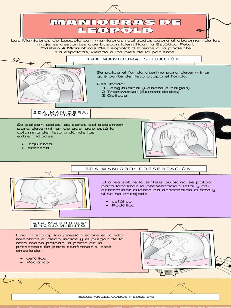 Infografia Maniobras de Leopold | PDF | Salud y bienestar