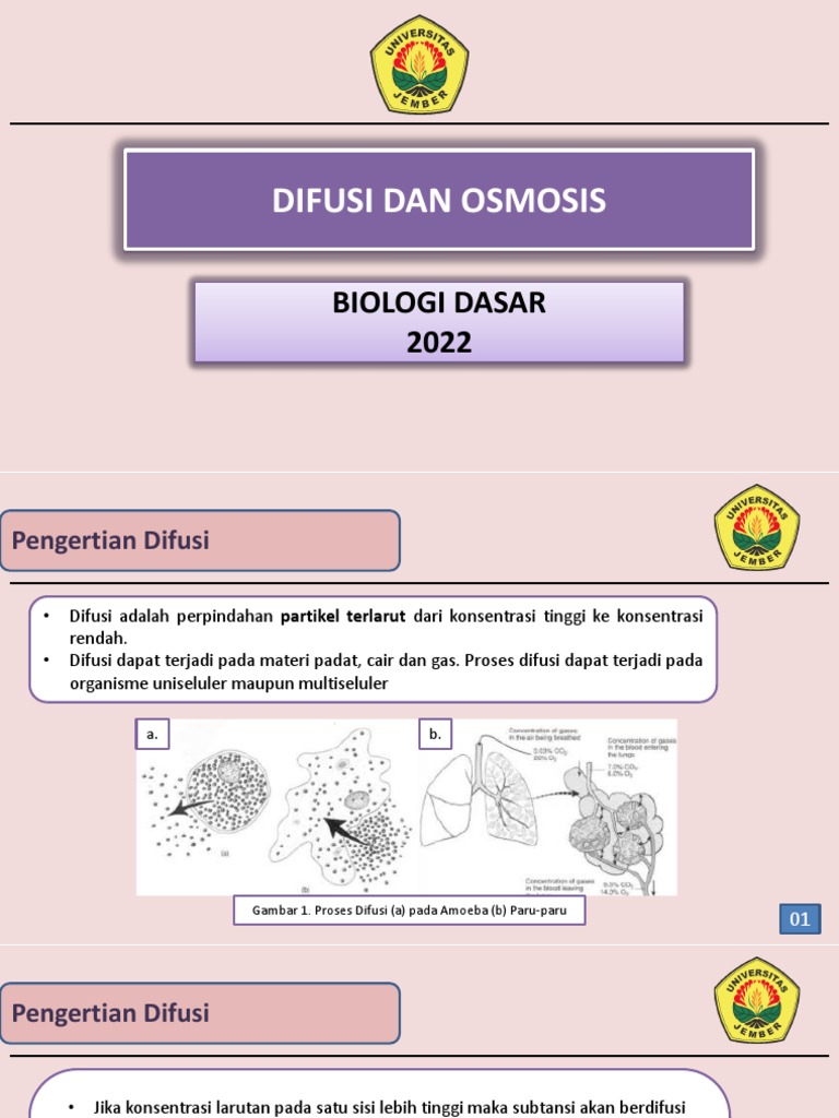 Proses Difusi dan Osmosis dalam Biologi | PDF | Griya & Taman ...