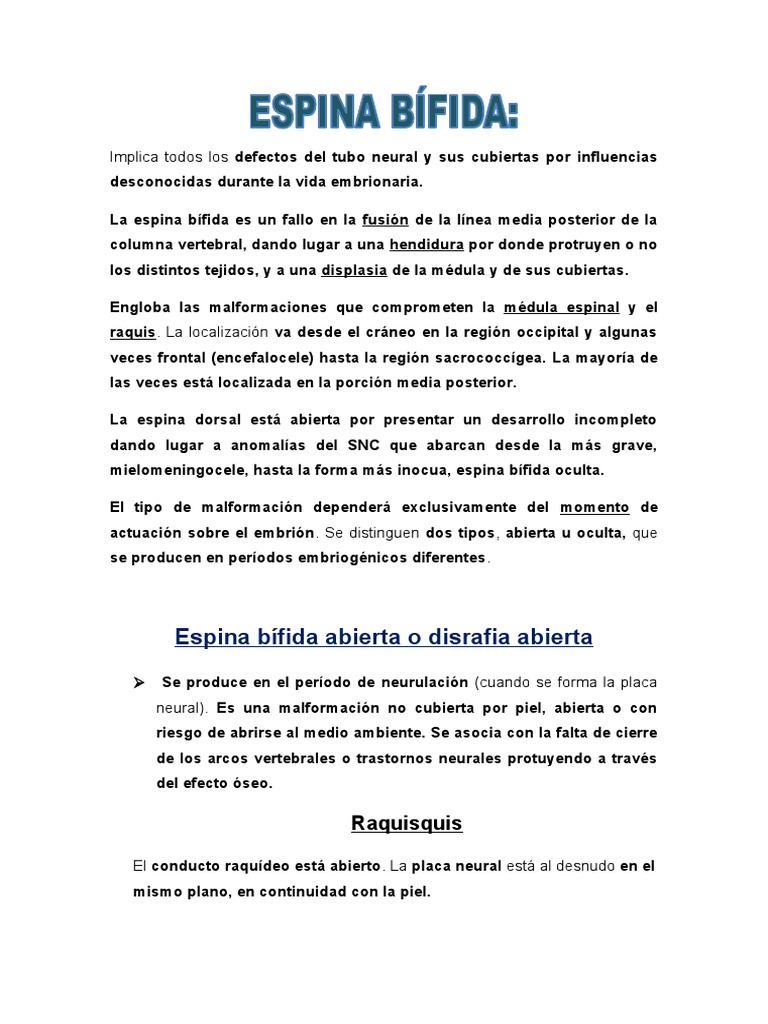 Espina Bífida | PDF | Causas de la muerte | Neurociencia