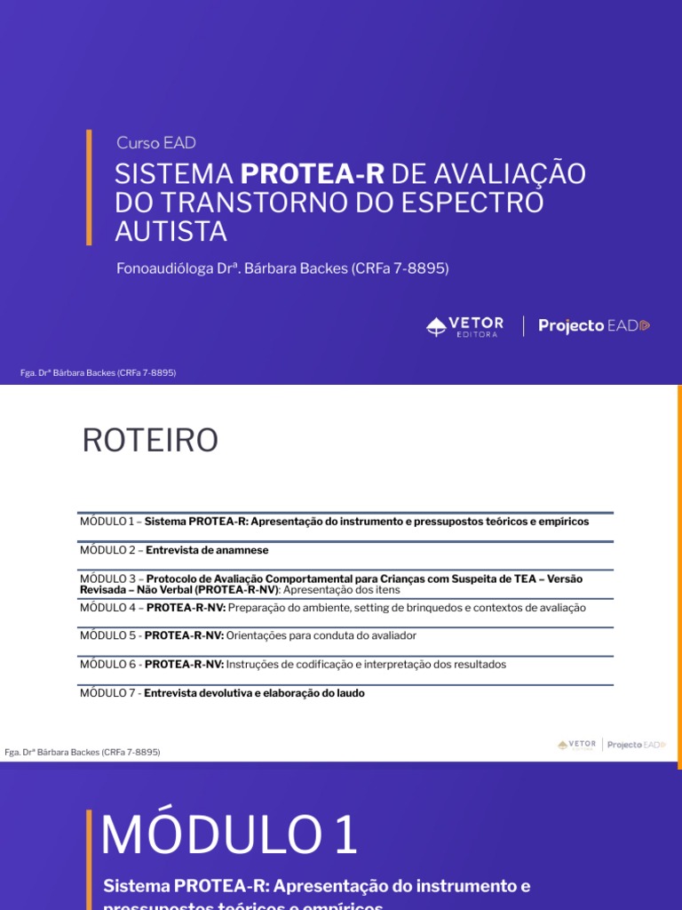 Sistema PROTEA-R - EAD Vetor - Final | PDF | Autismo | Compilador