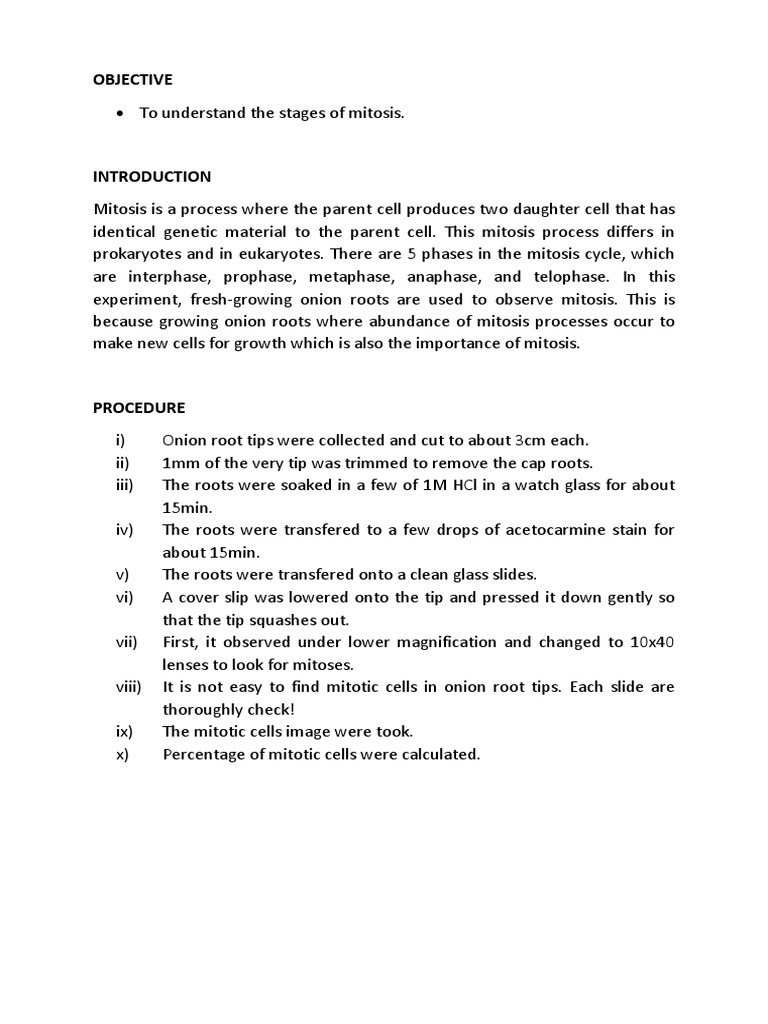 BMS 415 Lab Report Experiment 4 Mitosis | PDF