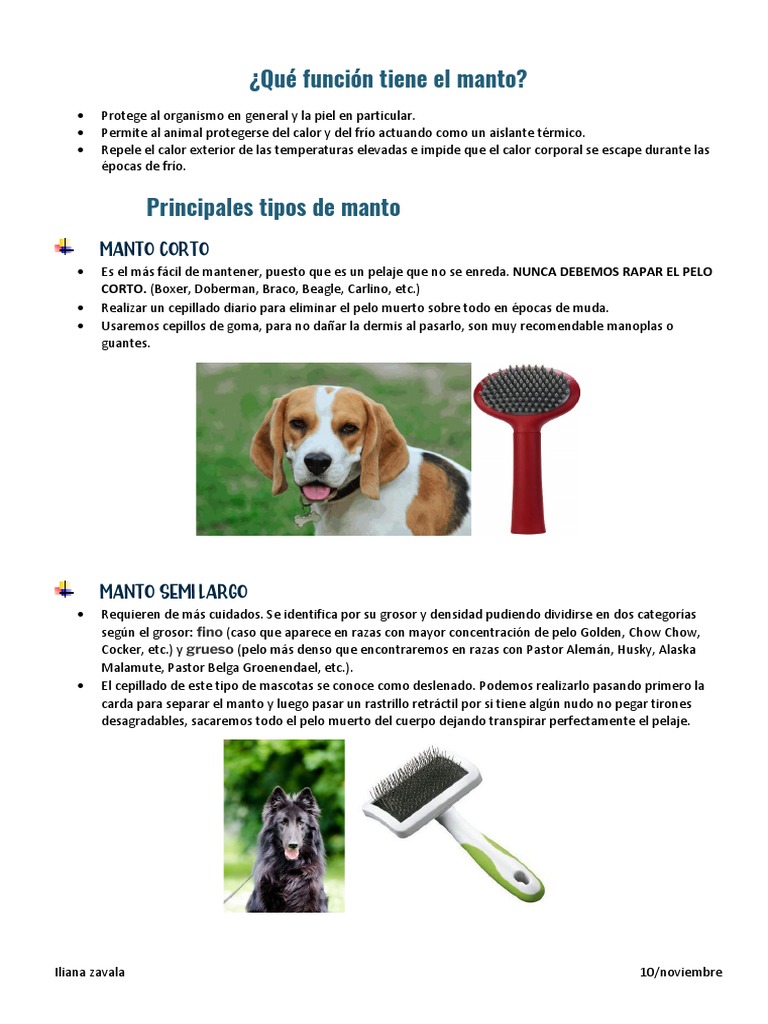 Guía de Tipos de Manto en Mascotas | PDF | Piel | Gatos