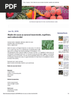 Katmon Fruit: Uses and Benefits | PDF | Food And Drink | Botany