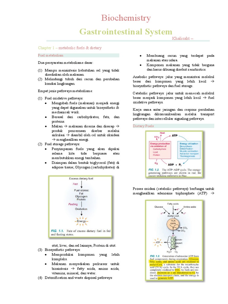 Chap 1 - Metabolic Fuels and Dietary - BIOCHEM | PDF | Kesehatan Holistik | Sains & Matematika