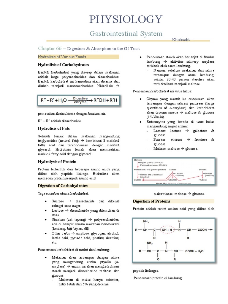 Chap 66 - Digestion and Absorption - PHYS | PDF