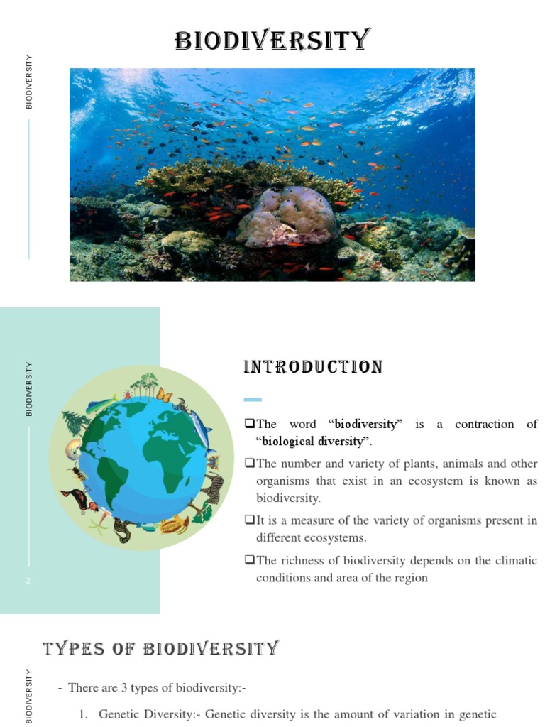 Biodiversity | PDF | Biodiversity | Conservation Biology Biodiversity | PDF | Biodiversity | Conservation Biology