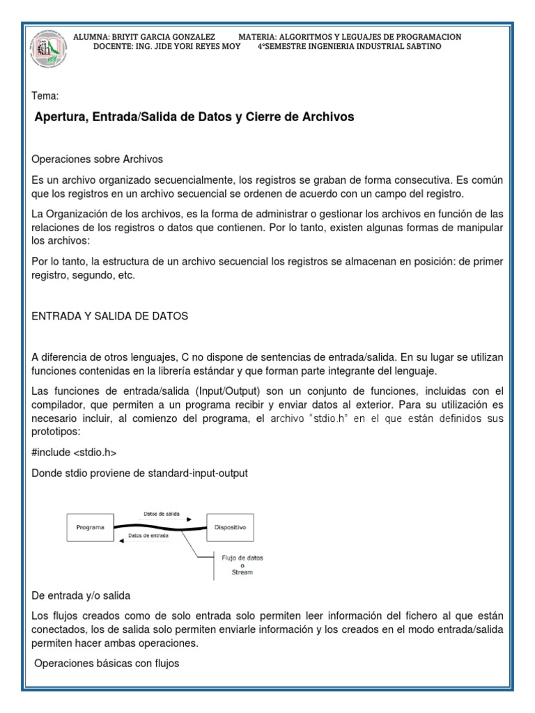 Entrada y Salida de Datos, Algoritmos | PDF | Archivo de computadora | Lenguaje de programación