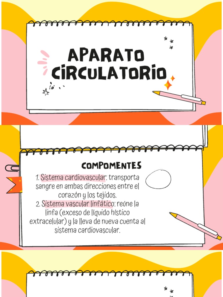 Aparato Circulatorio | PDF | Corazón | Sistema circulatorio