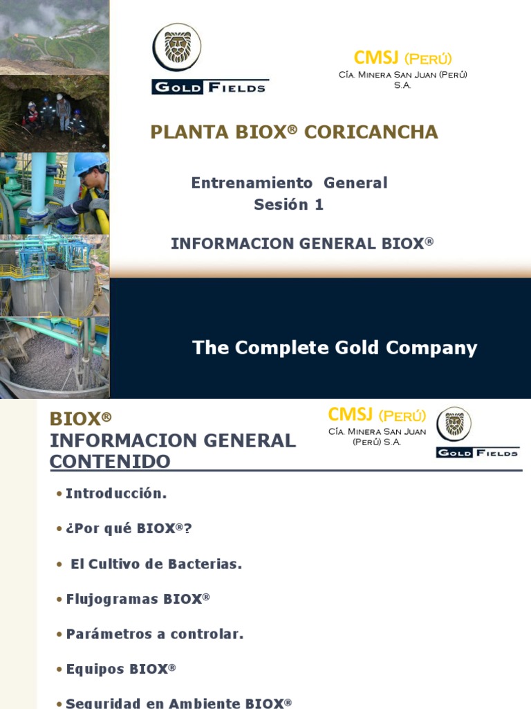 BIOX | PDF | Minería | Agua