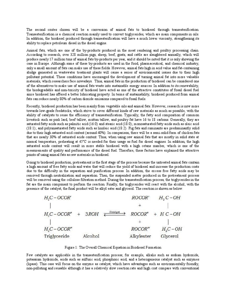 Biodiesel from Animal Fat | PDF | Biodiesel | Chemistry