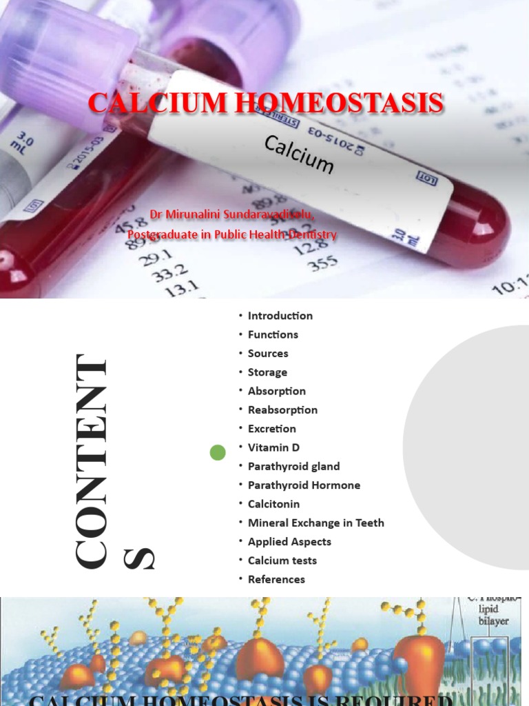 Regulation of Calcium Homeostasis: A Comprehensive Review of the Key ...