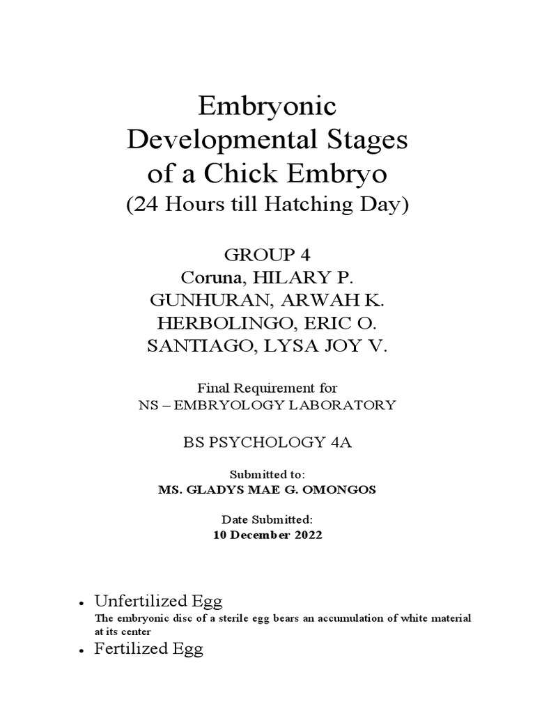Chick Embryo Development Stages | PDF | Heart | Brain