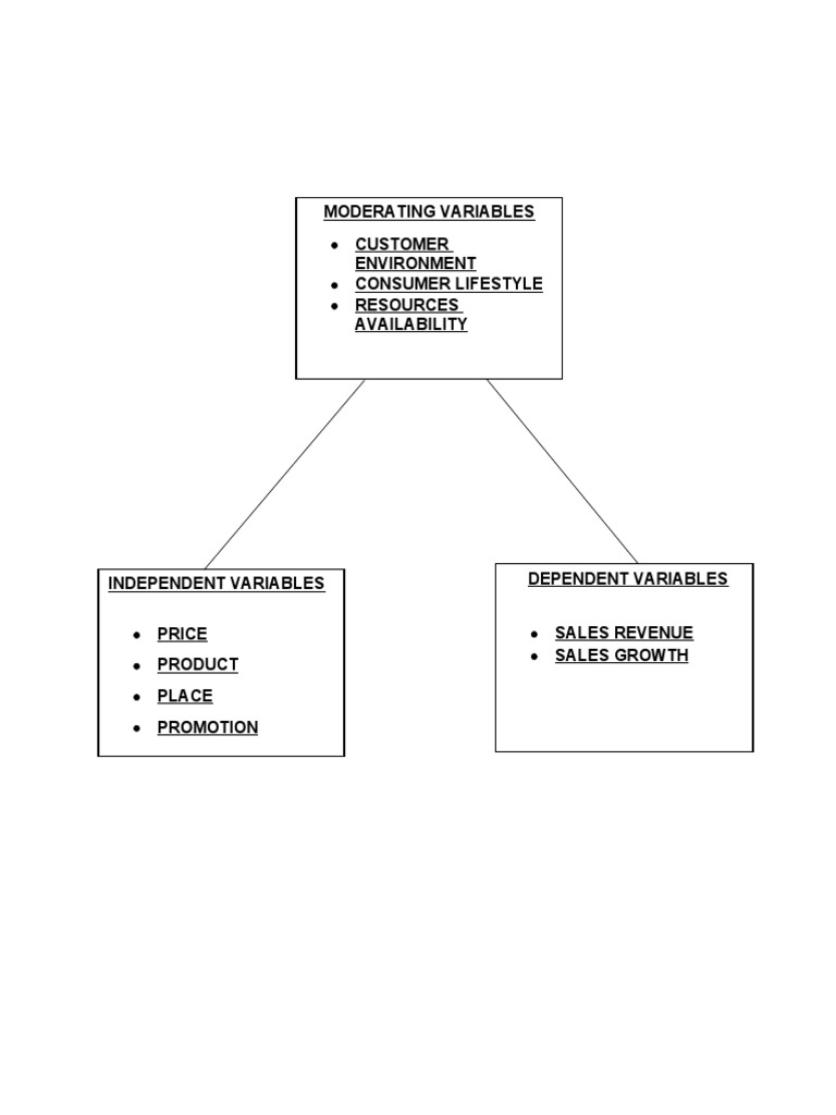 Conceptual Framework | PDF