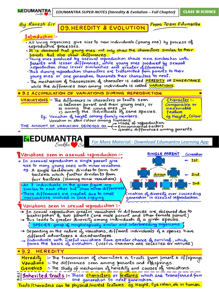 Class 10 Science: Heredity & Evolution | PDF | Science & Mathematics ...