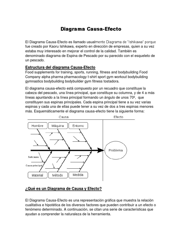 Diagrama Causa | PDF