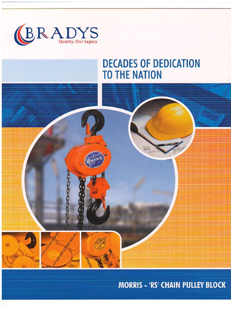 Morris Rs Series Chain Blocks Sumo | PDF | Bearing (Mechanical ...