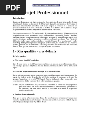 Exemple De Projet Professionnel Personnel Pdf Le