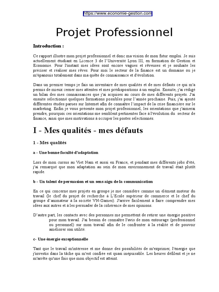 1 - Exemple de Projet Professionnel Pour Un Étudiant | PDF