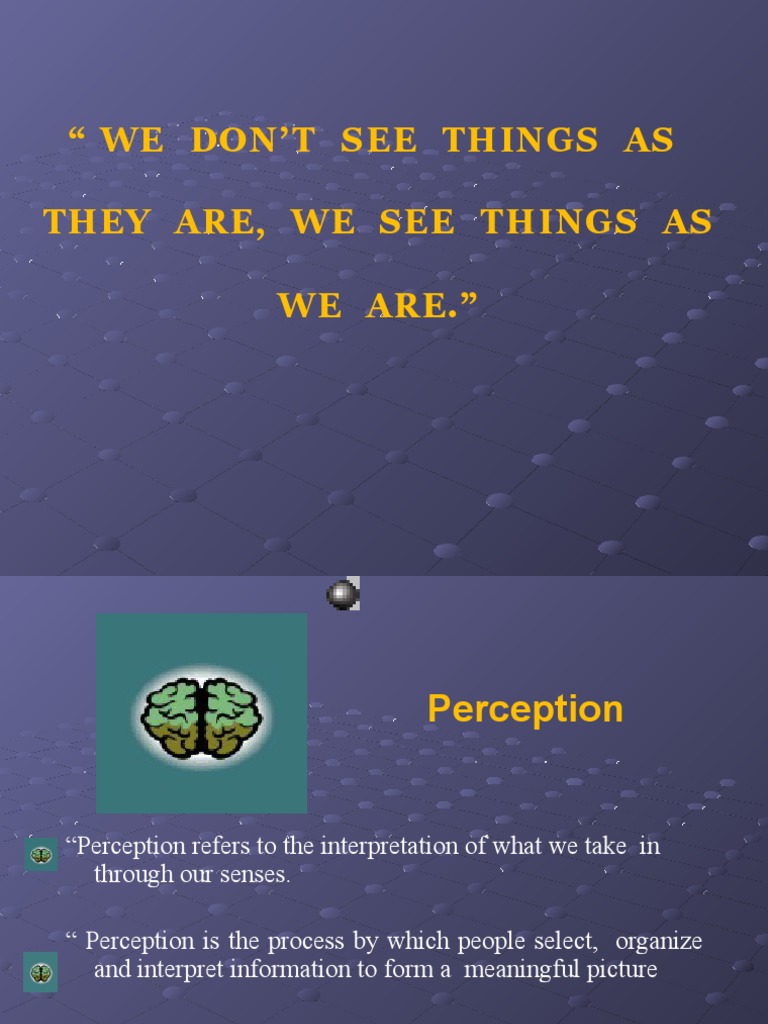 Perception Ob | PDF
