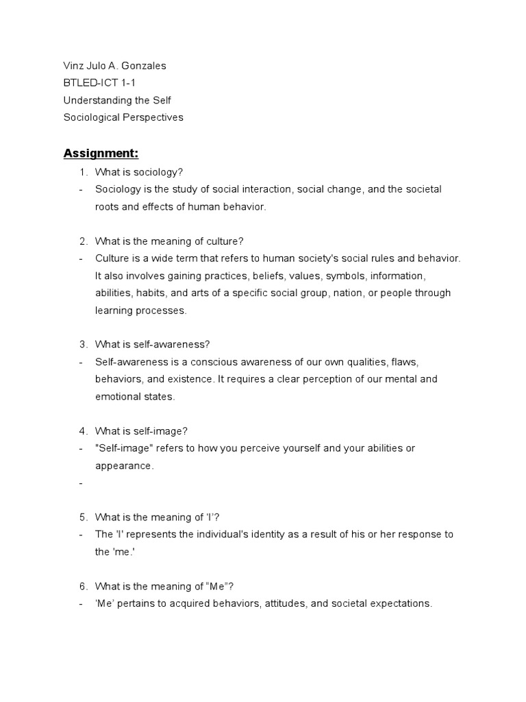 Sociological Perspective Assignment | PDF