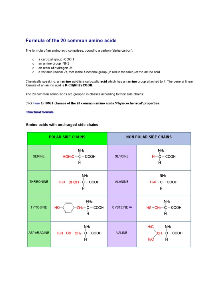 Formula of The 20 Common Amino Acids | PDF | Amino Acid | Cysteine
