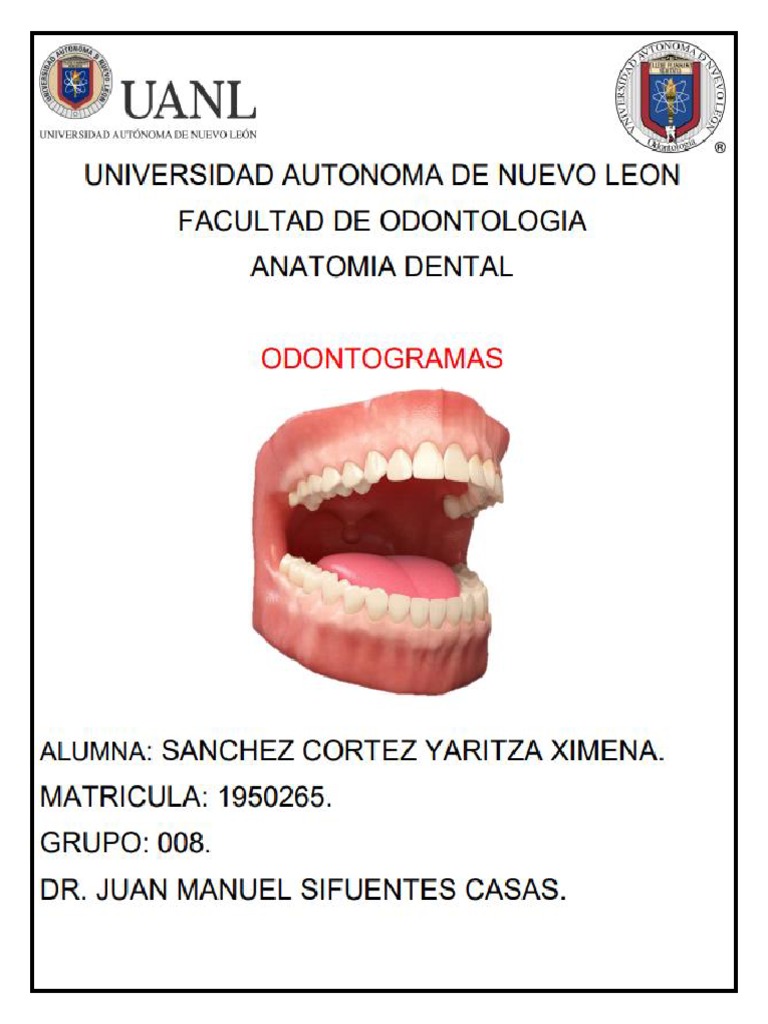 Odontogramas (Anato Dent) | PDF