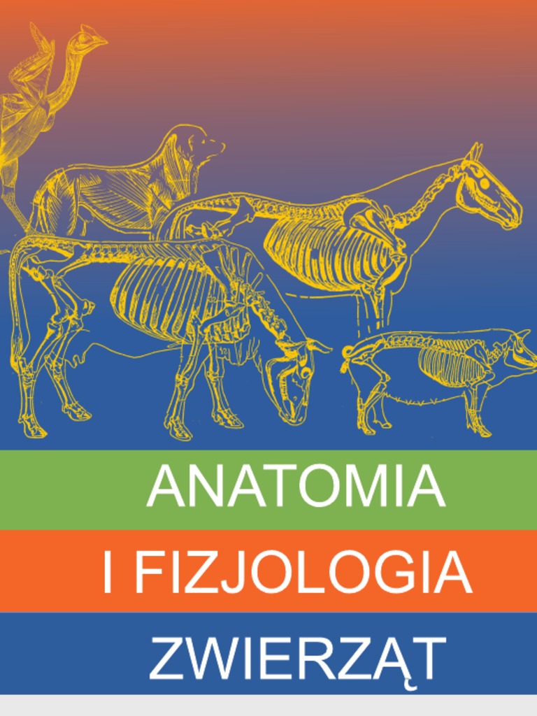 Anatomia-Fizjologia-Zwierzat - Barszcz | PDF
