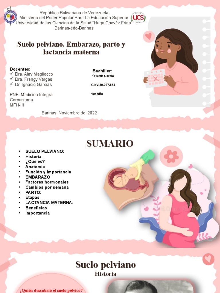 MFH 3 Tema 13 - Suelo Pelviano, Embarazo, Parto y Lactancia | Descargar gratis PDF | Parto | El ...
