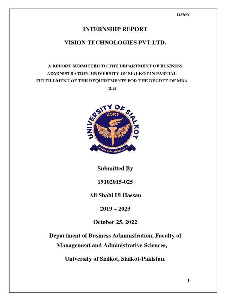 Internship Report of Vision Technologies LTD | PDF | Strategic ...